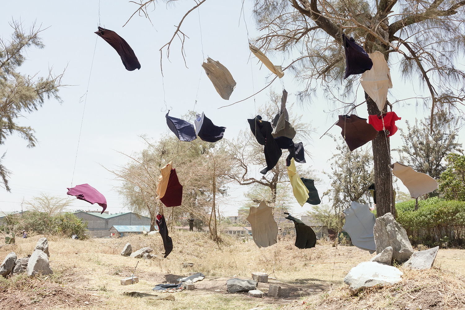 A Distinct Cut - Riding the Dragon